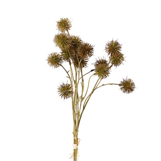 Sweet Chestnut Pod Bundle – Industria Store
